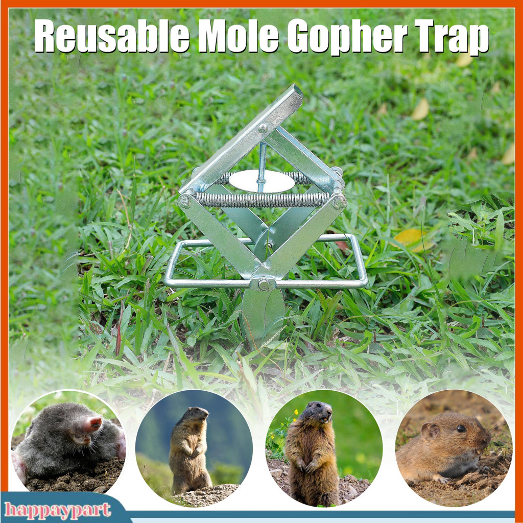 happaypart| Mouse Trap Mole Scissor Trap Effective Galvanized Steel ...