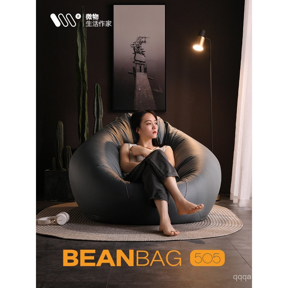 Lazy Sofa Bean Bag Tatami Small Apartment Balcony Single EPP Leisure ...