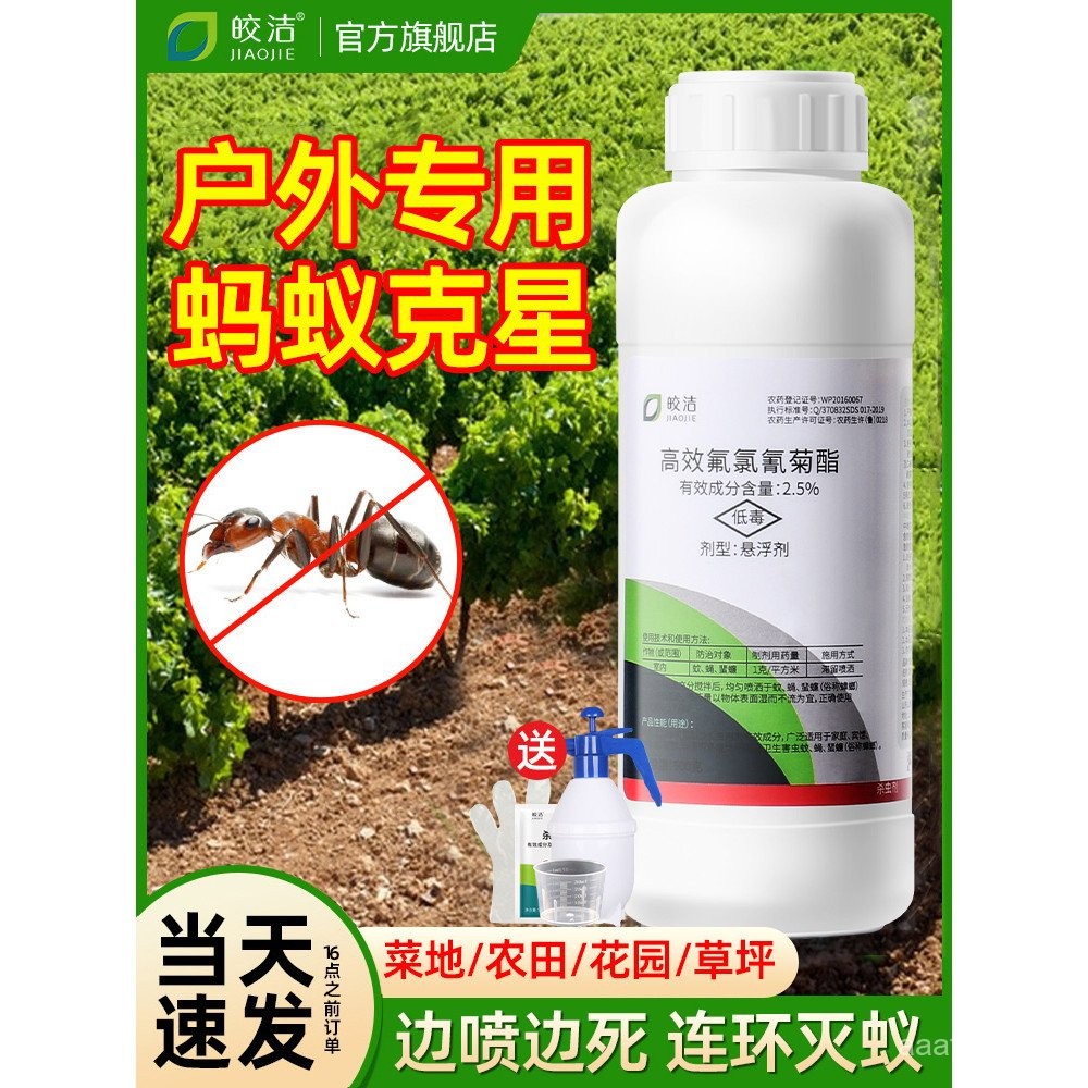 Ant Medicine Indoor Non-Toxic Household Non-Whole Nest Extinguishing ...