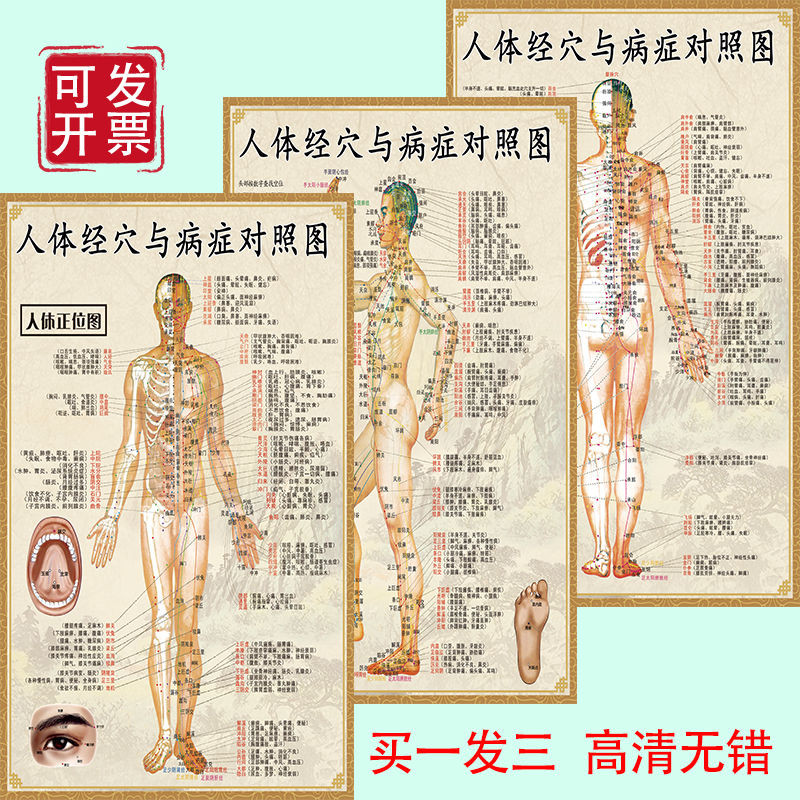 #全身图 Human Acupuncture Map Whole Body Meridian Map Moxibustion Map ...