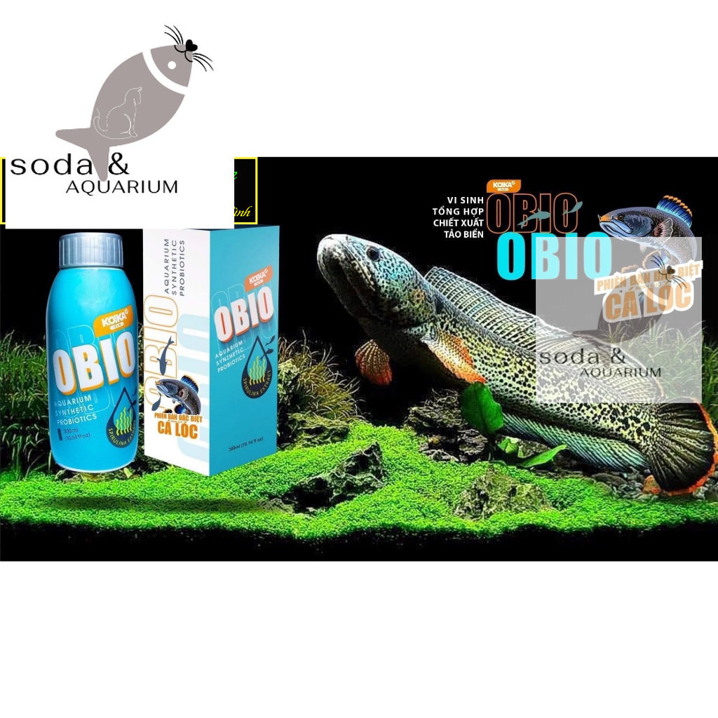 Obio Snakehead Fish - Special Microbiology For Snakehead Fish - Made In ...
