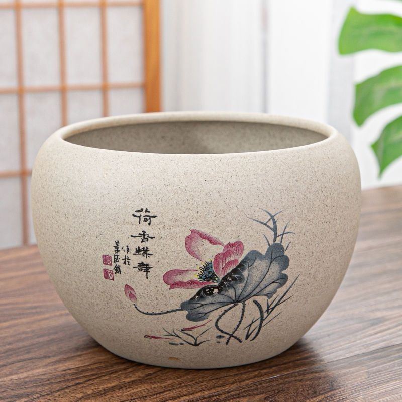 Flower Pot Non-Hole Hydroponic Household Extra Large Hydrocotyle ...