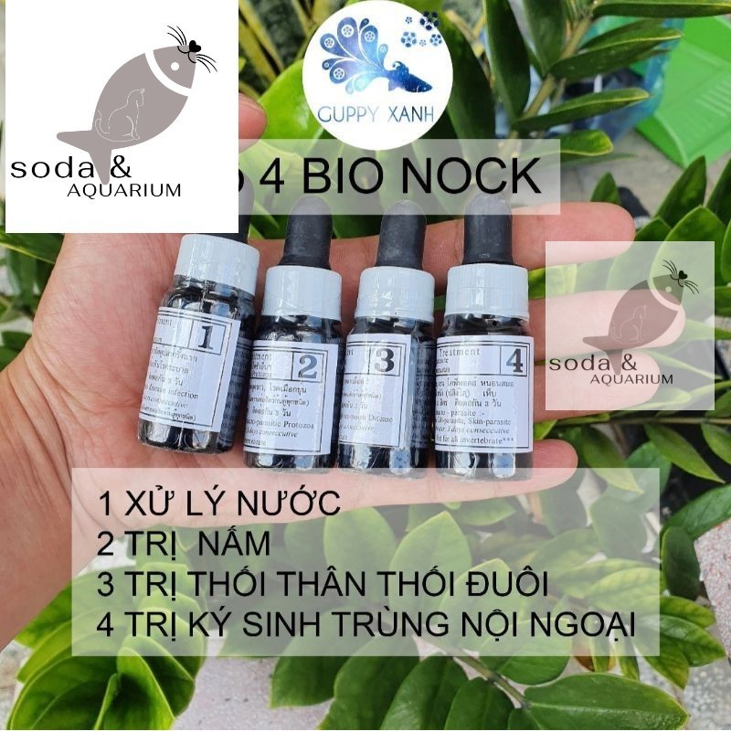 Bio Sock Series - Fish Support Products - Made In Thailand Effective ...