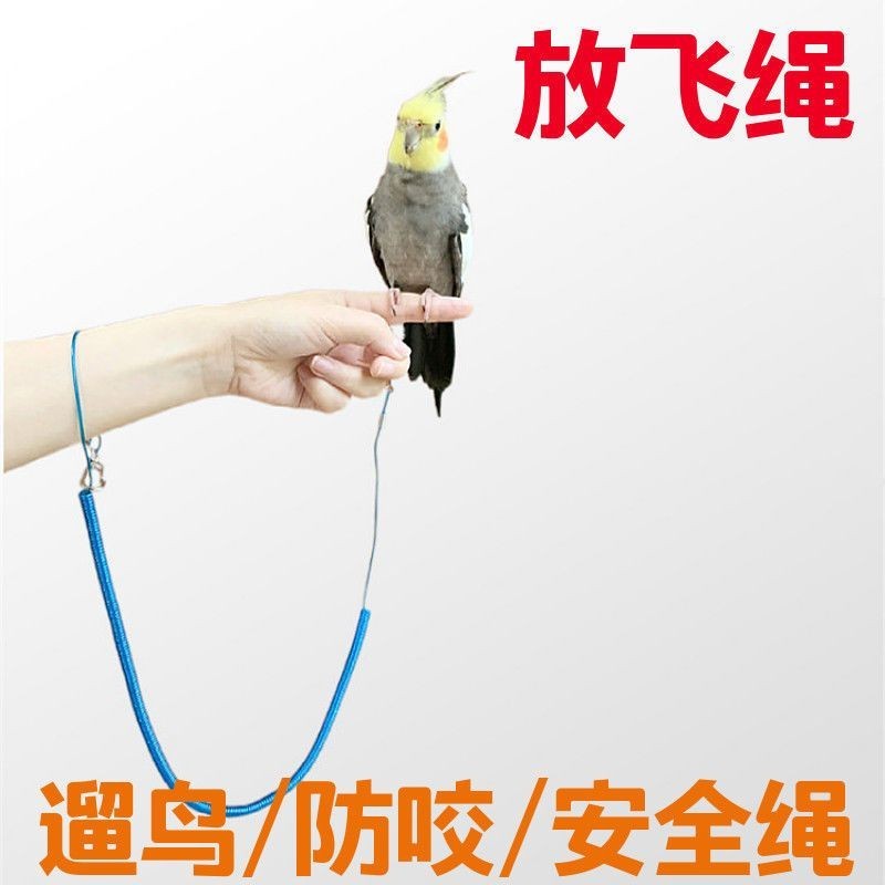 ((Ready Stock) Unbreakable Bite Parrot Flying Rope Anklet Anklet Ultra ...