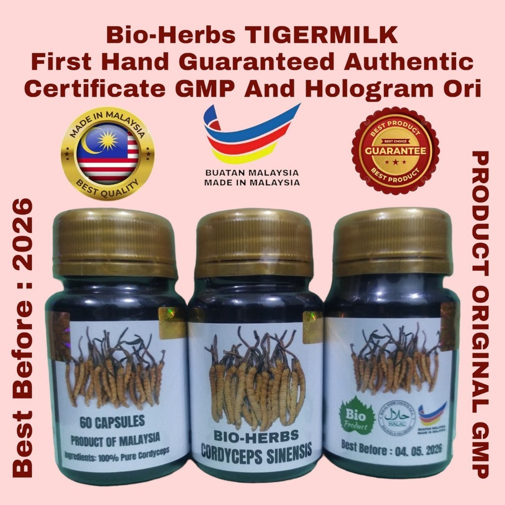 PURE CORDYCEPS WILD EXTRACT CORDYCEPS SINENSIS BIO HERBS AUTHENTIC ...