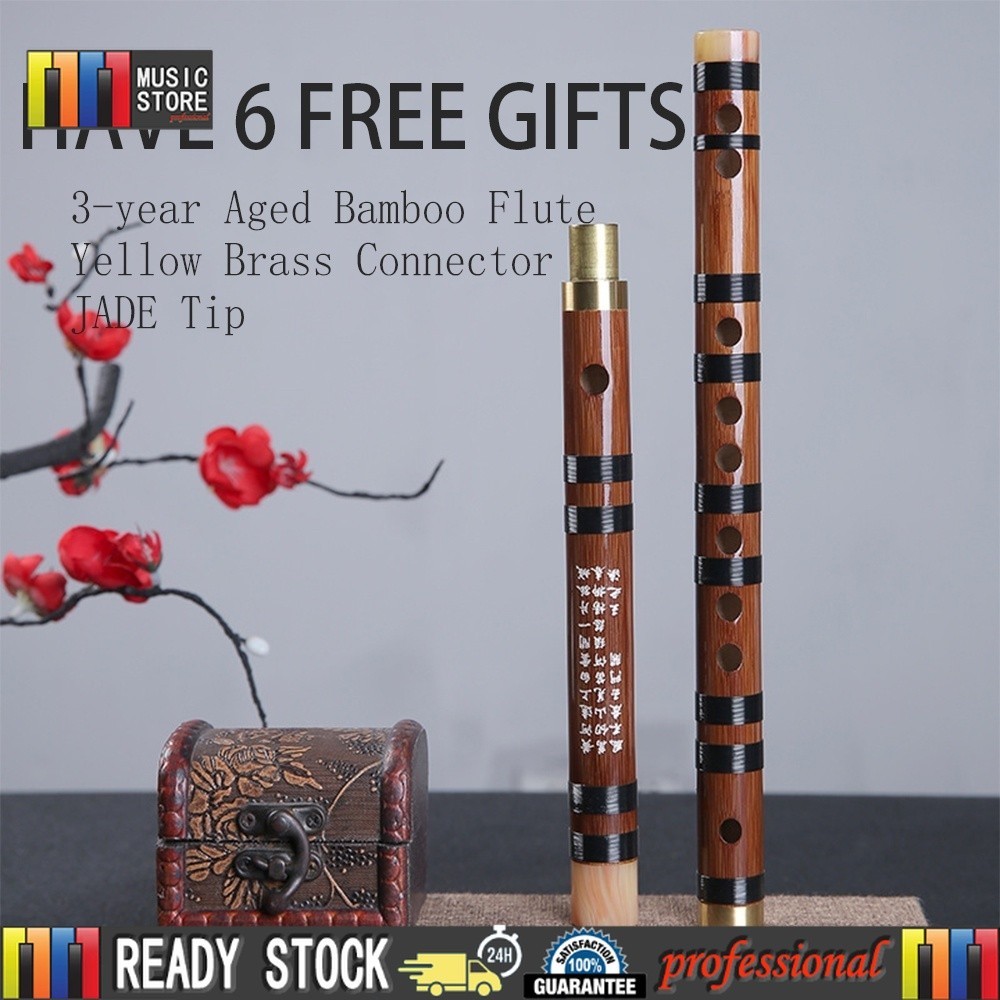 Bamboo Flute Bamboo Seruling Buluh Dizi Soprano Plastic Recorder with ...