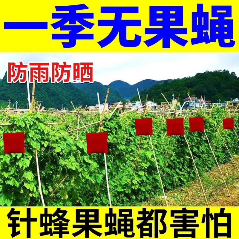Insect repellent Needle Bee Attractant Melon Fruit Fly Attractant ...