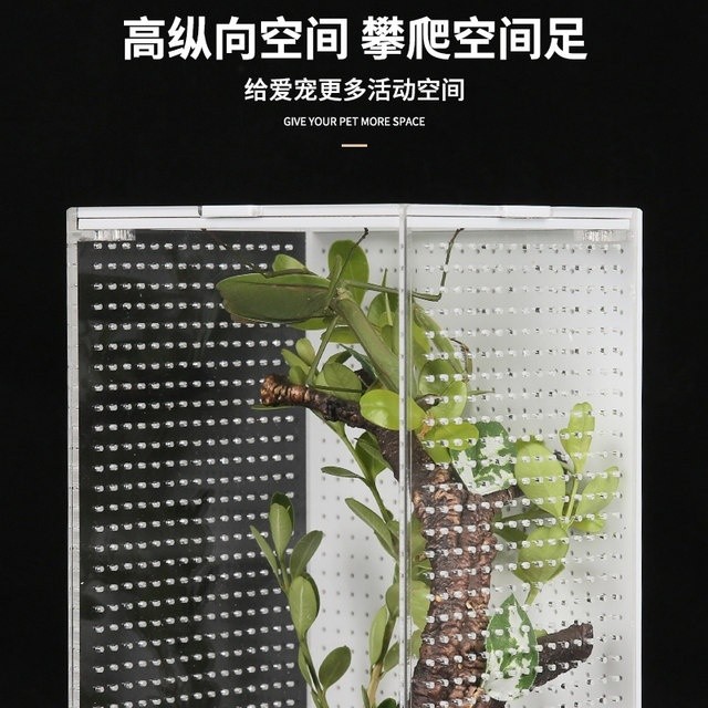 Acrylic Reptile Breeding Box Bamboo Breeding & Insect Box Mantis ...