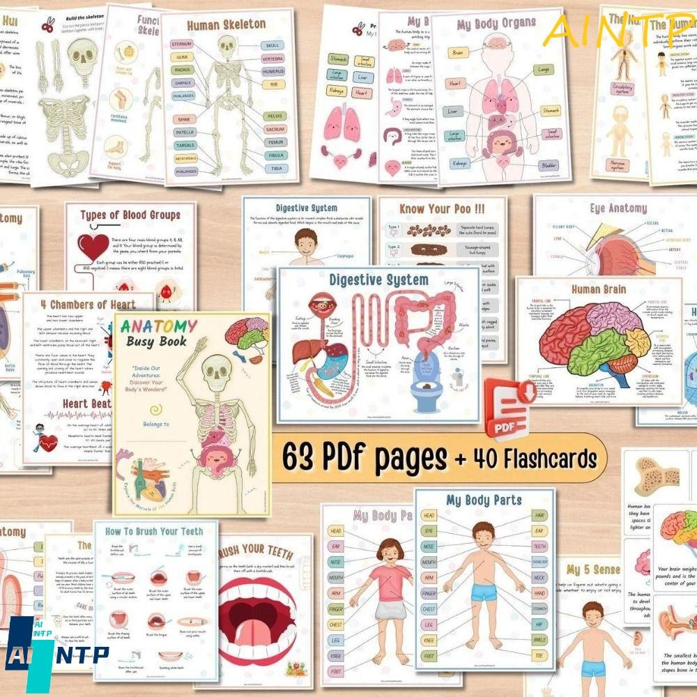 AINTP Human Organ Match Quiet Book, Interactive Montessori Toys Human ...