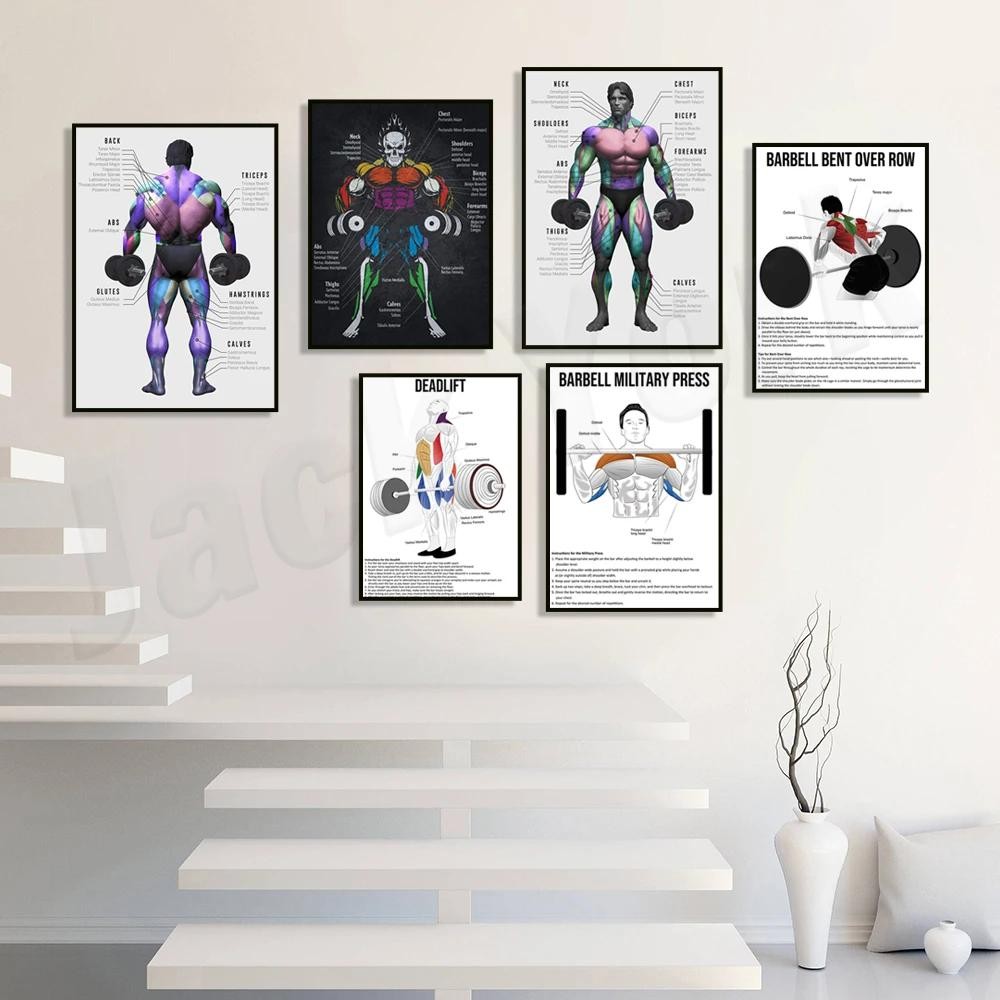 Rajah Anak Pokok: Poster jaringan otot deadlift, karya seni dinding ...