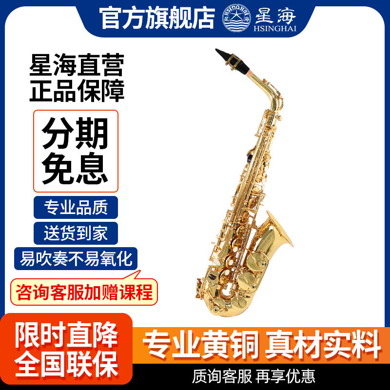 Star Sea Alto Saxophone E-Key Treble Beginner Test Performance Adult ...