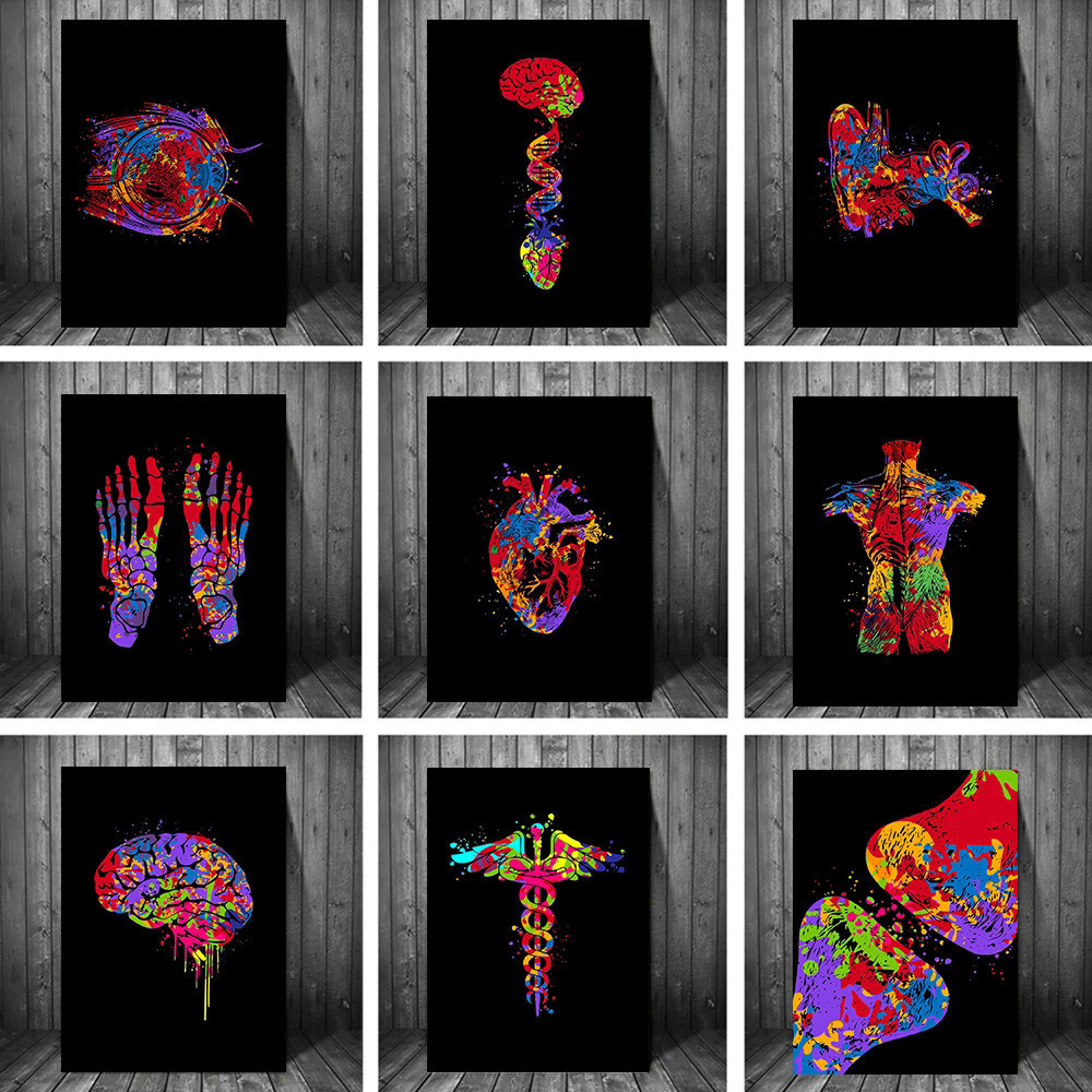 Modern Abstract Watercolor Heart Anatomy Lungs Human Organs Medicine ...