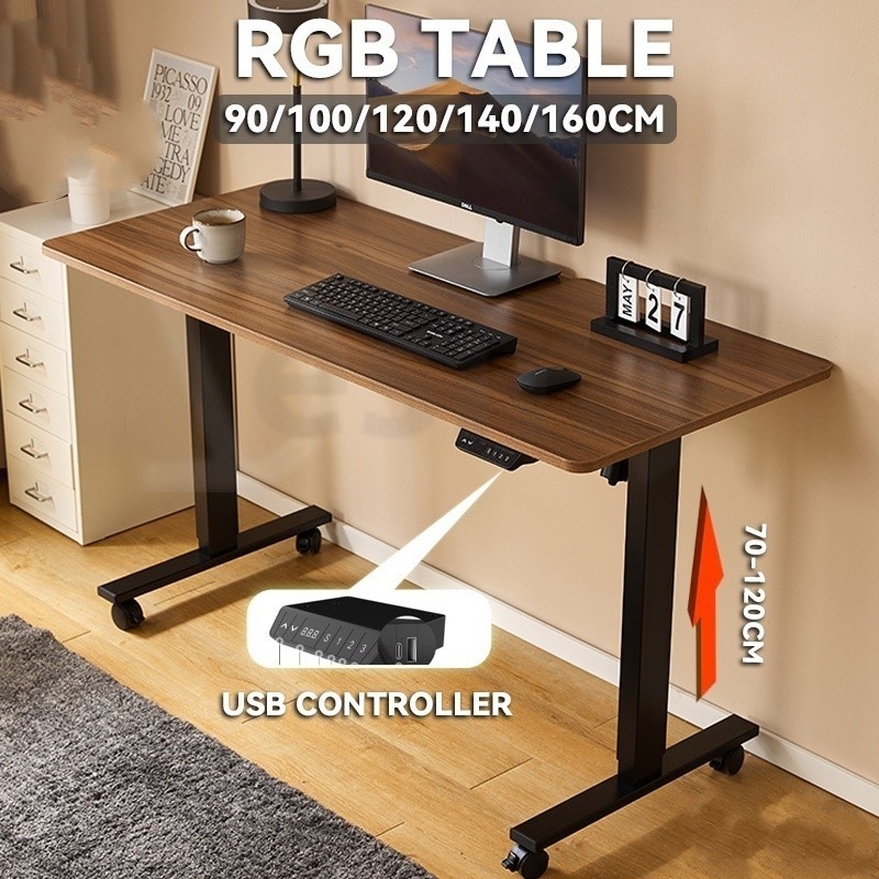 Electrc 90/100CM Standing Desk USB Height Adjustable Small House Study ...