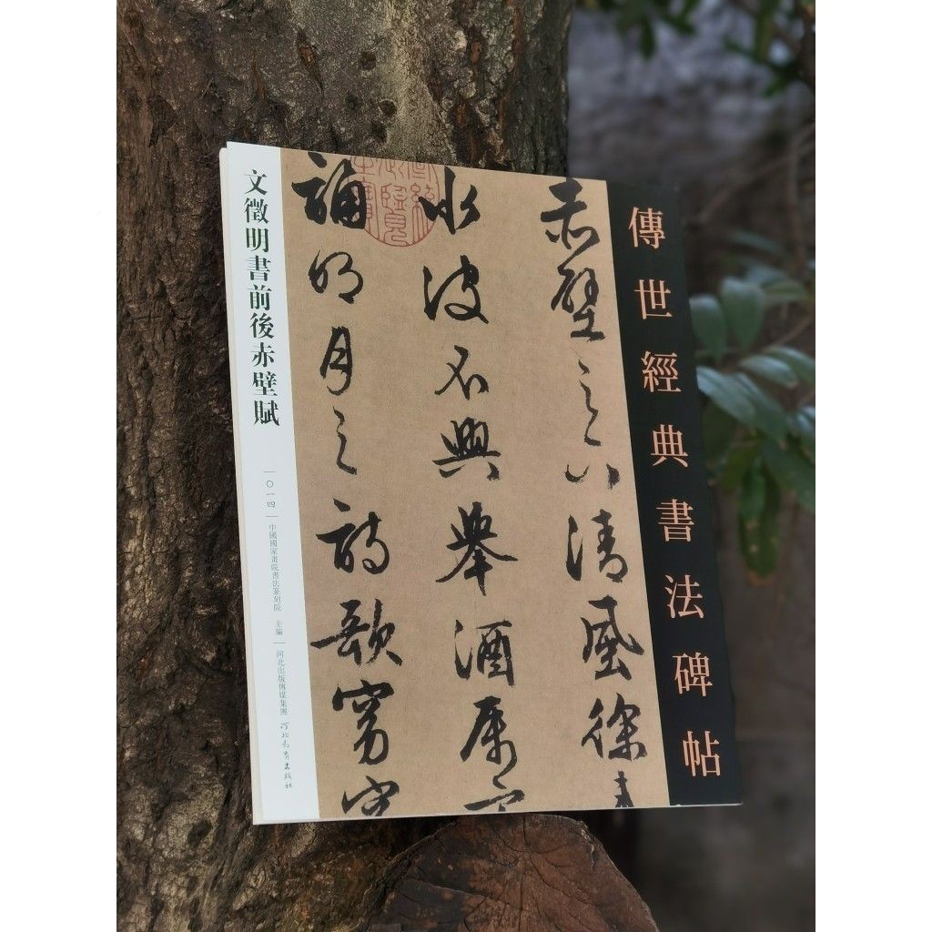 Tian Yitang Wen Zhengming Book Front and Back Chibi Fu Hands-over ...
