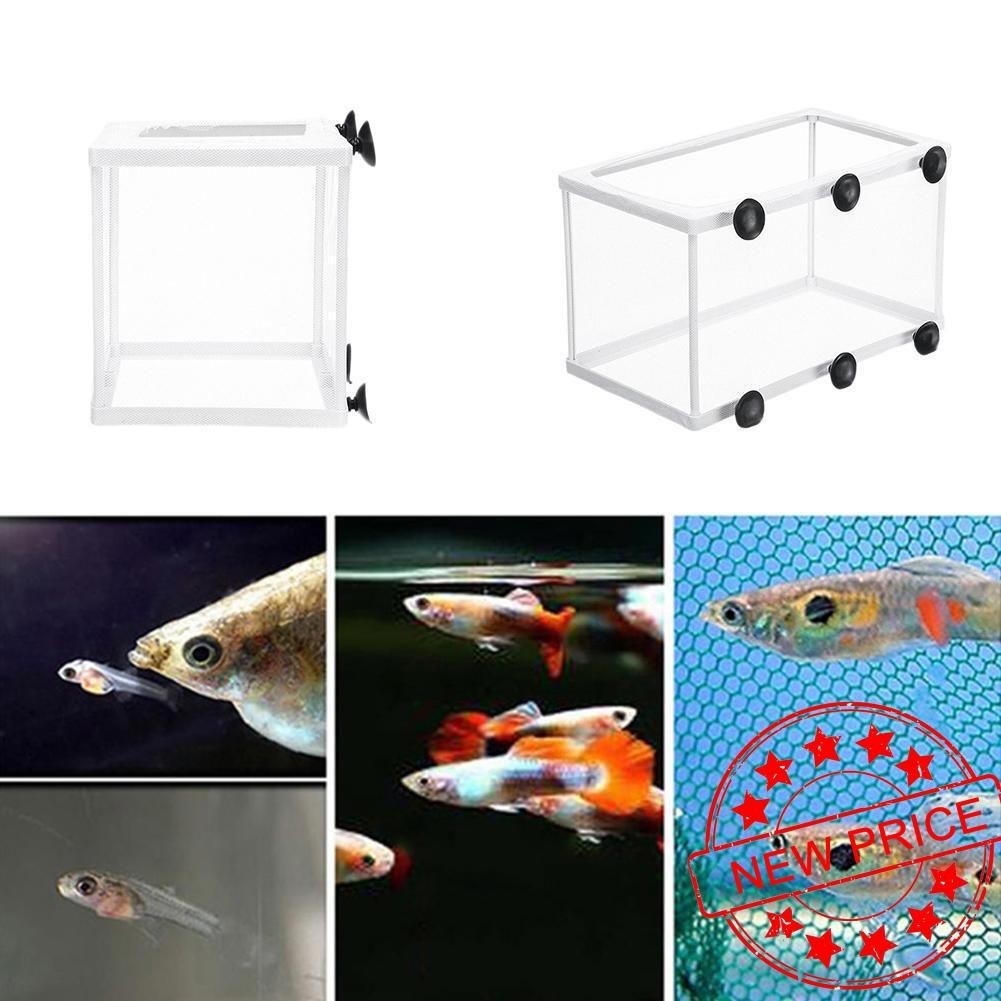 Protective Aquarium Isolation Net For Hatching Breeding And Rearing ...