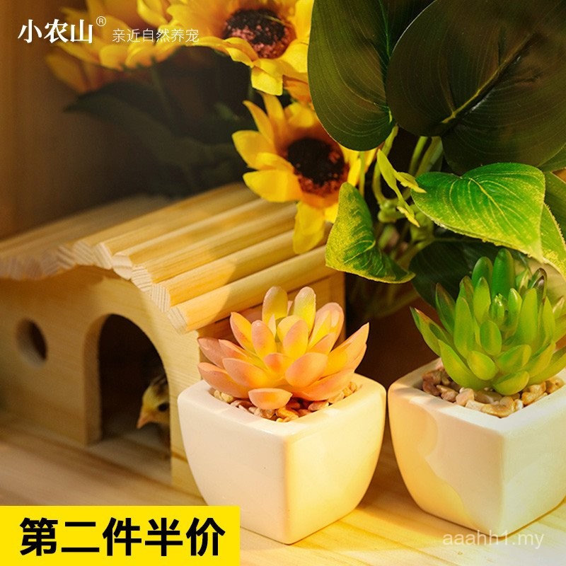 Speedy Luding Chicken Landscaping Supplies Plant Luding Chicken Hamster ...