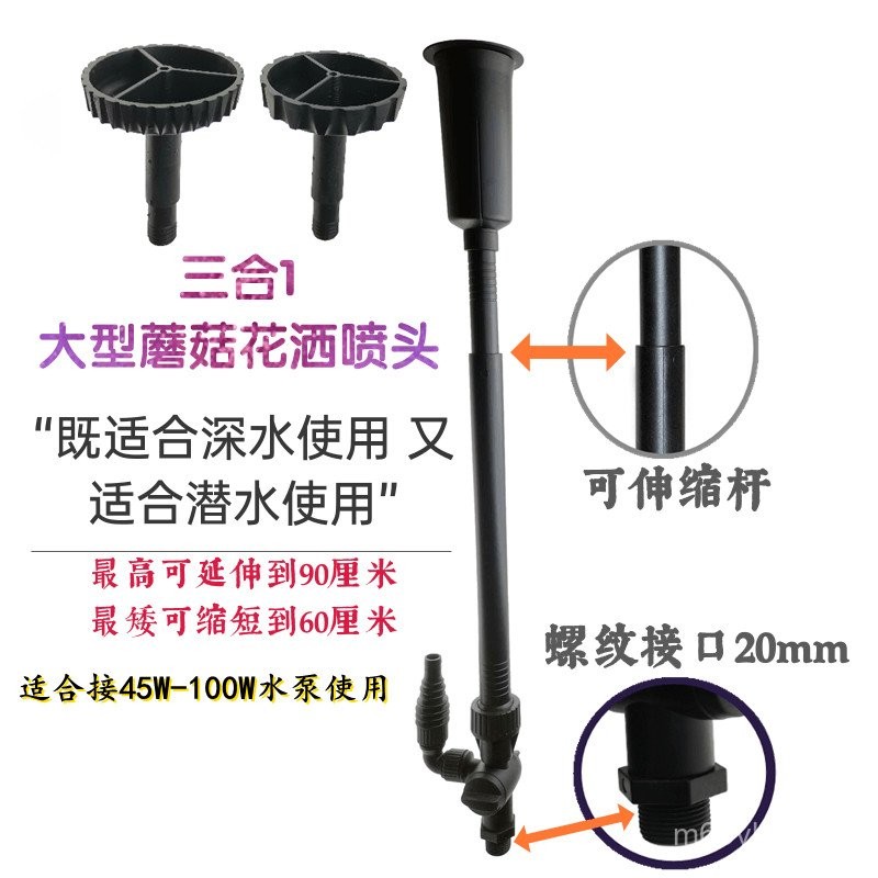 Air Pancut Ciri-ciri Air Berkebun Kolam Luar Ruangan Kolam Batu ...