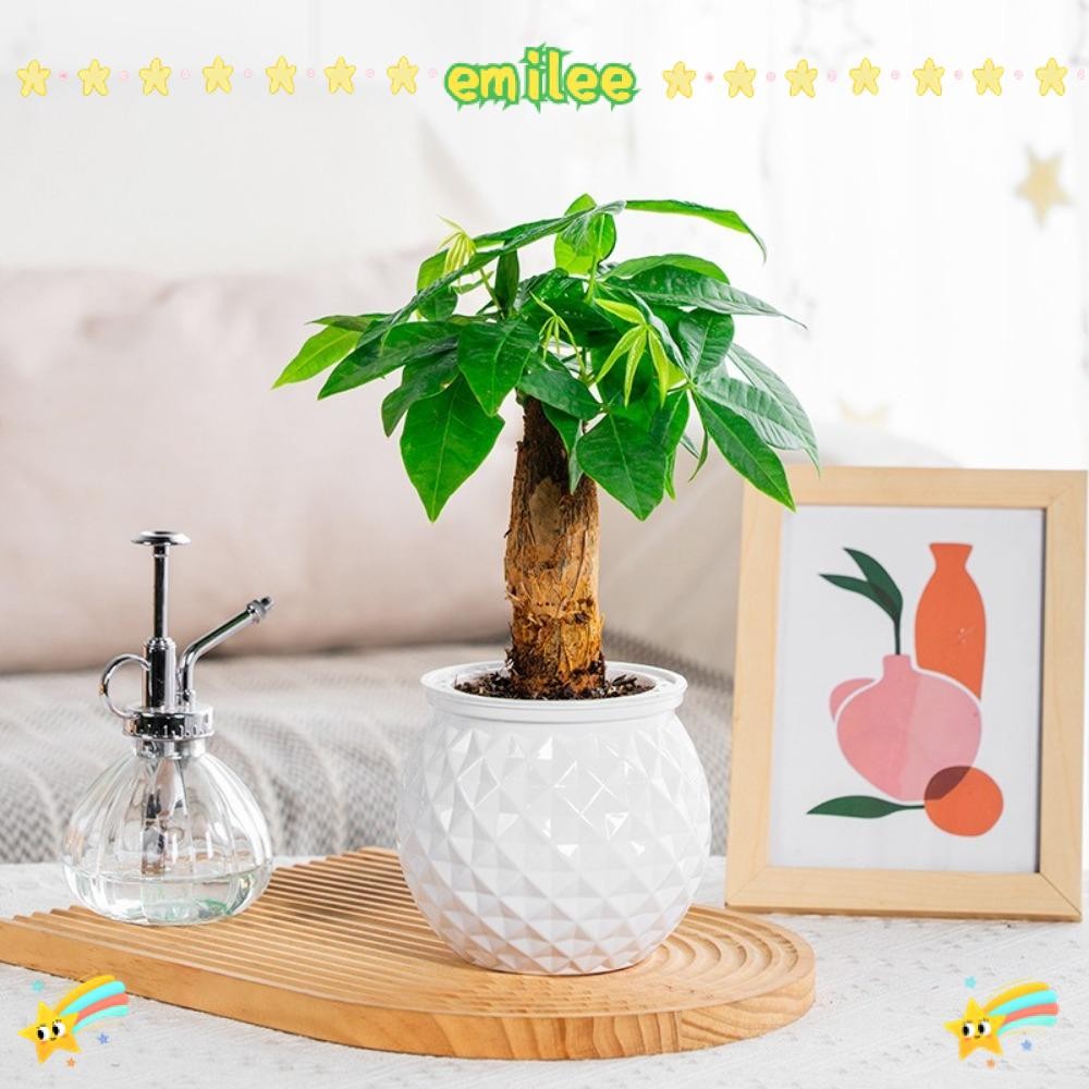 EMIL Flowerpot, Plastic Self Watering Hydroponic Plants Pot, Removable ...