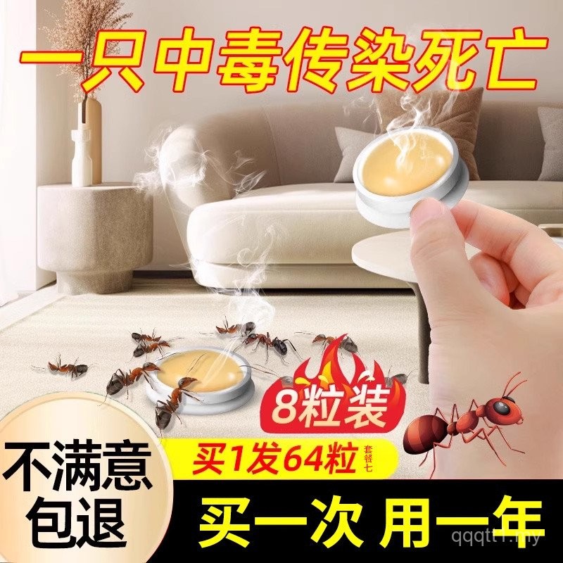 Japanese Ant Medicine Household Whole Nest Small Black Yellow Red ...