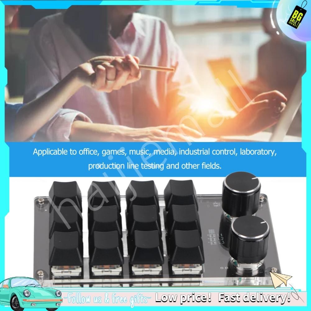 Haijiemall DIY Mini Keypad Programmable Macro Keyboard RGB Lighting 12 ...