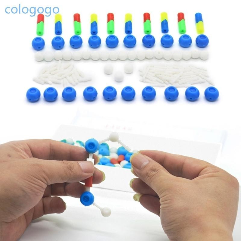 COLO Double Helix Structure Model Biological Science Teaching Tool ...