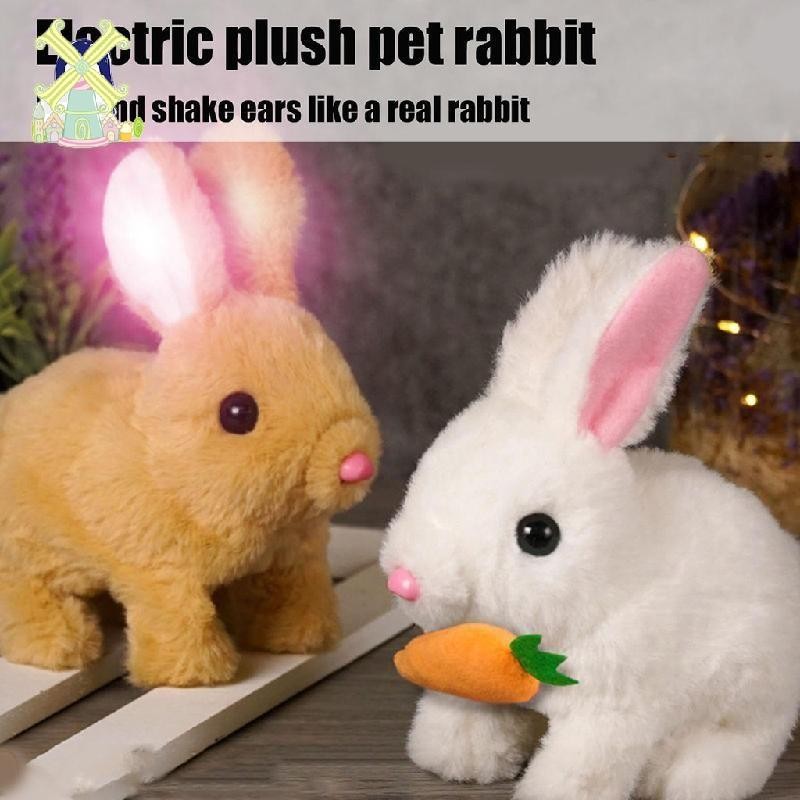 Bunny Realistic Bunnies, Bunby Realistic Bunny, Bunny Realistic Bunny ...