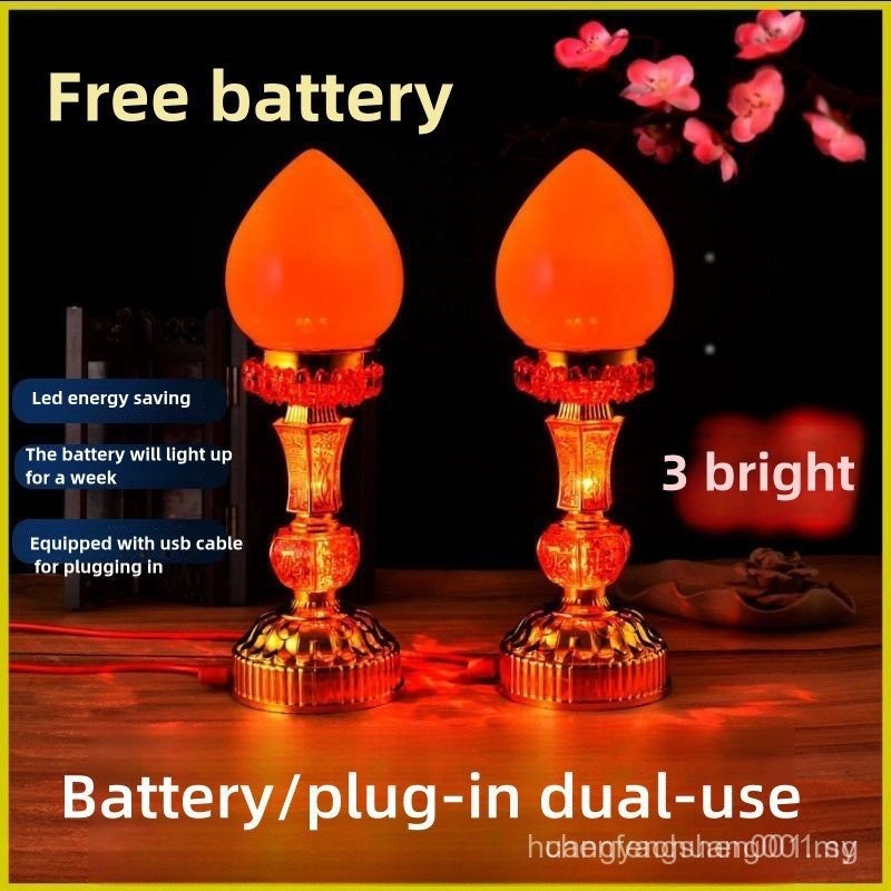 LEDBuddha Worship Enshrine God of Wealth a Pair of Dual-Purpose Plug-in ...