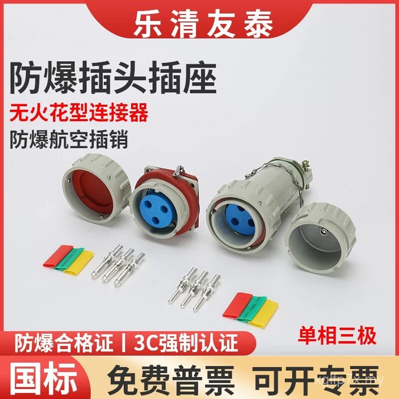 Single Phase Three-Pole Explosion-Proof Plug Socket 220v No Spark Type ...