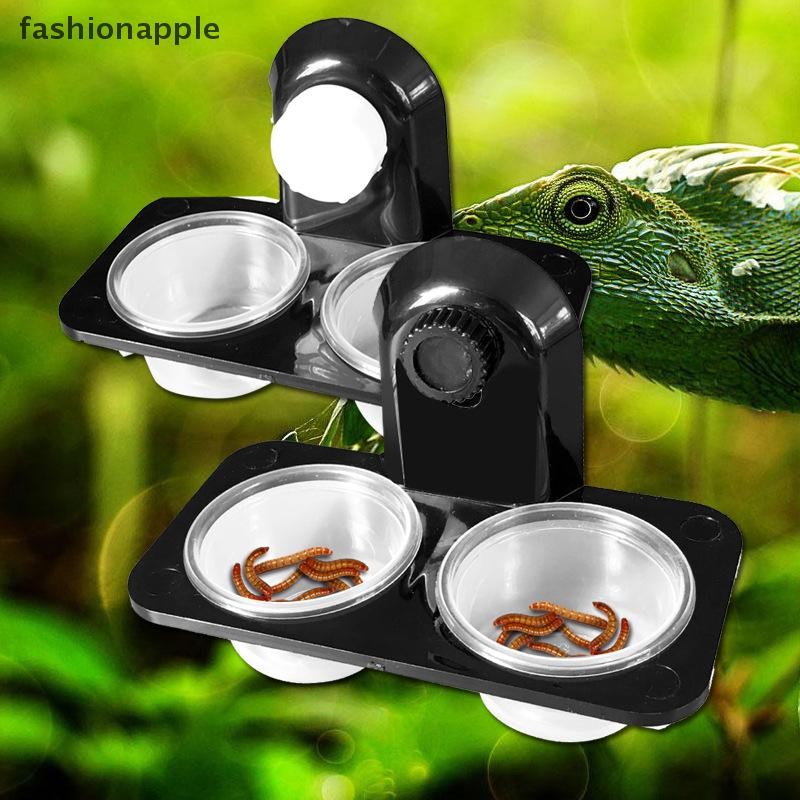 FAMY Reptile Tank Insect Spider Ants Nest Snake Gecko Food Water ...