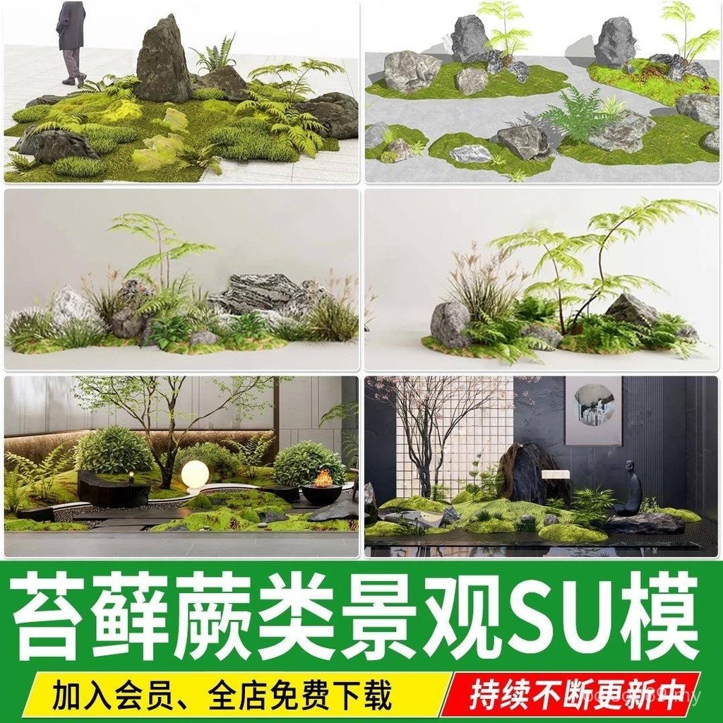 Courtyard Combination Zen Landscape Sketch Model Fern Moss Micro ...