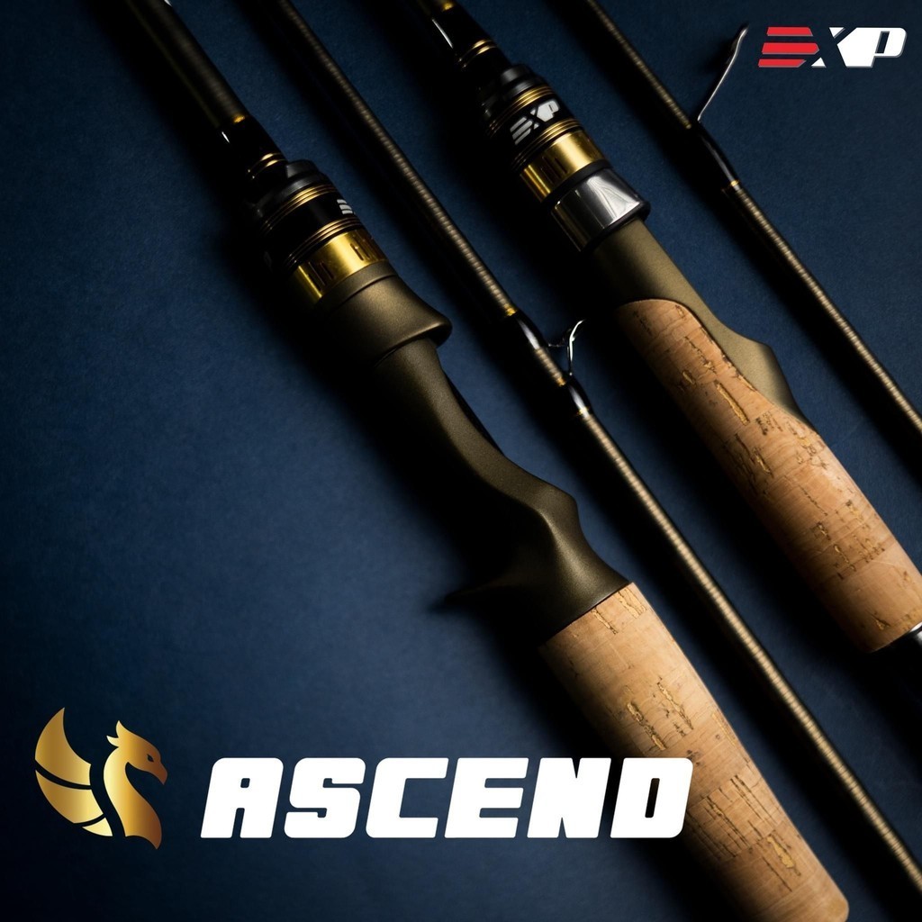 EXP ASCEND SPINNING AND CASTING ROD | Shopee Malaysia