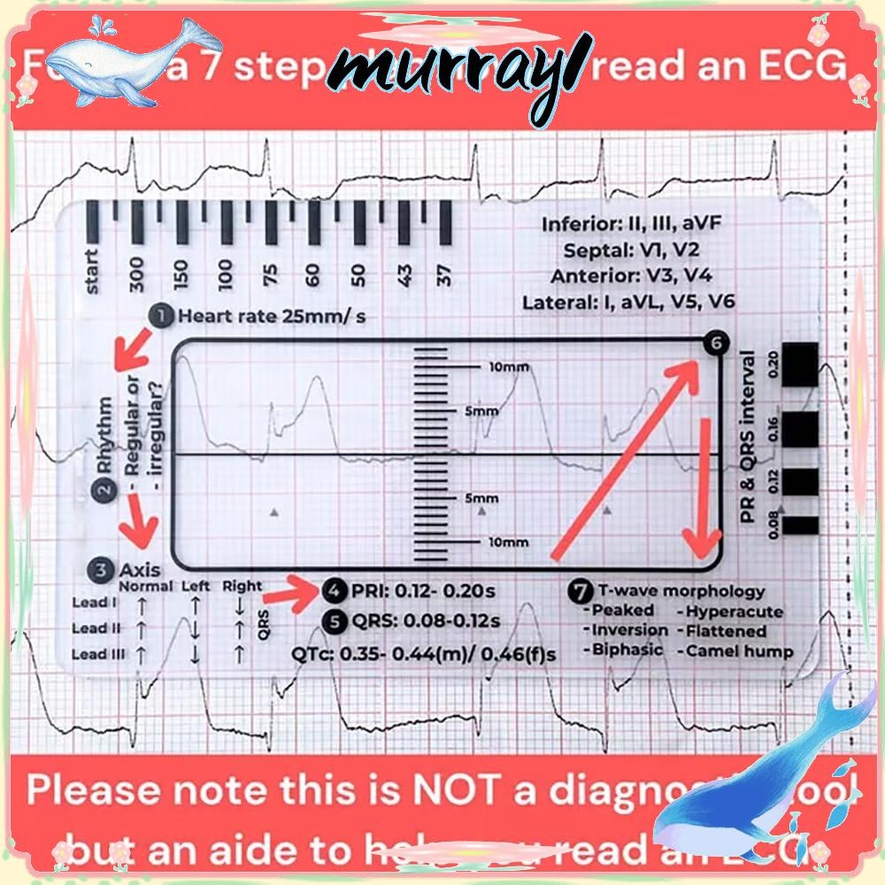 MURRAY1 ECG 7 Step Ruler, Plastic ECG/EKG EKG Calipers, Gifts Transparent Portable Assessment ...
