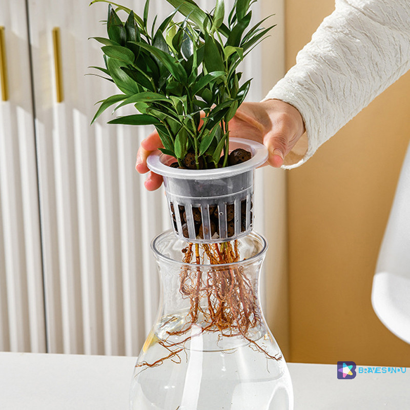[BraveSundu] Mini Flower Pot Fish Transparent Plastic Soilless Plant ...