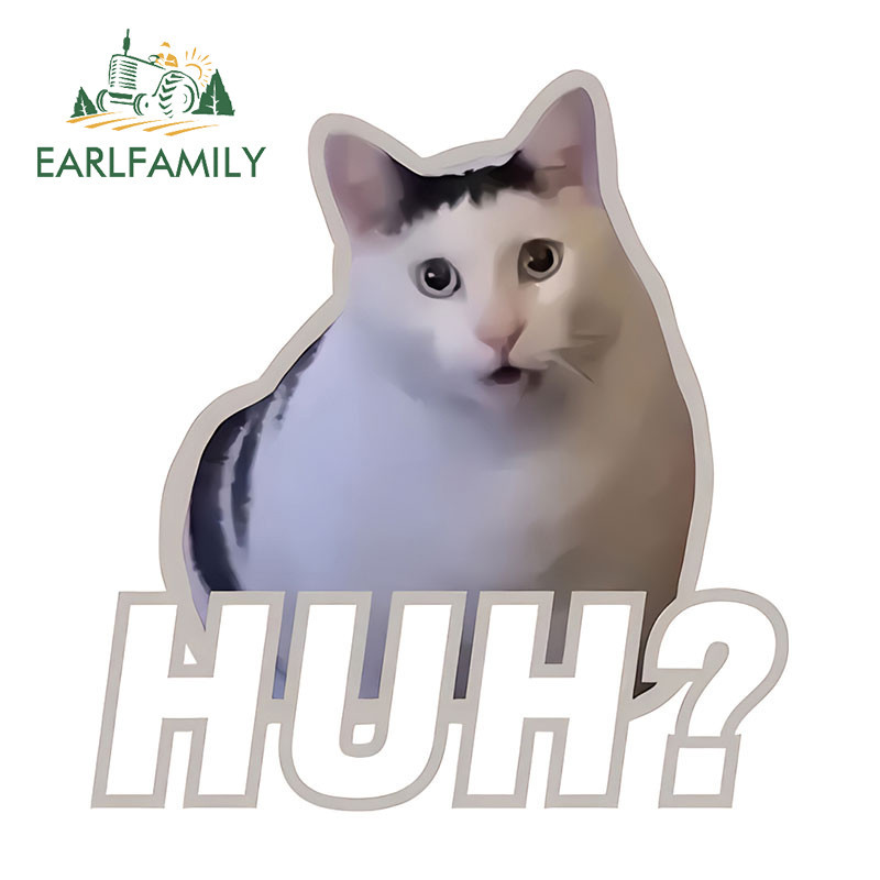 EARLFAMILY 13cm x 12.2cm Cat Huh Open-eyed Car Sticker Caravan Trolley ...