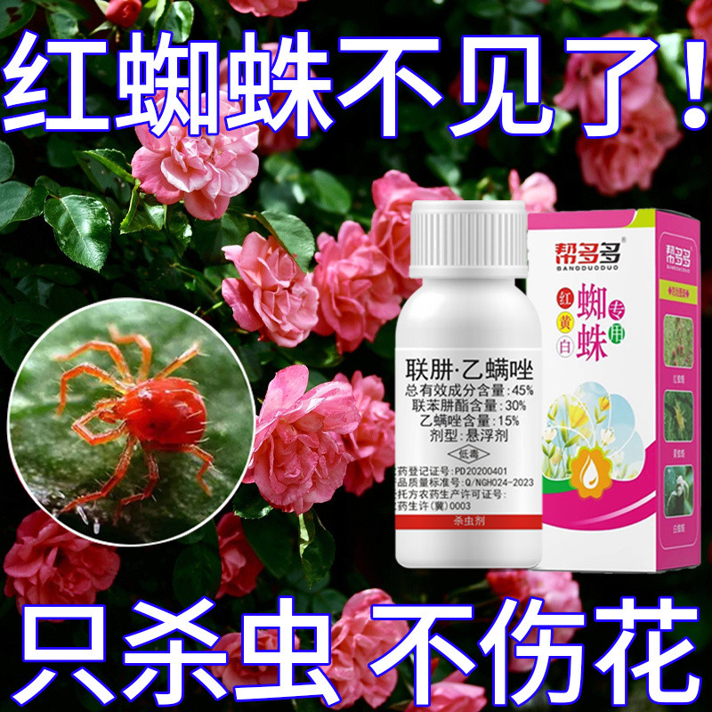 [Shop Hot Sale] Red Spider Dedicated Medicine Jasmine Rose Flower ...