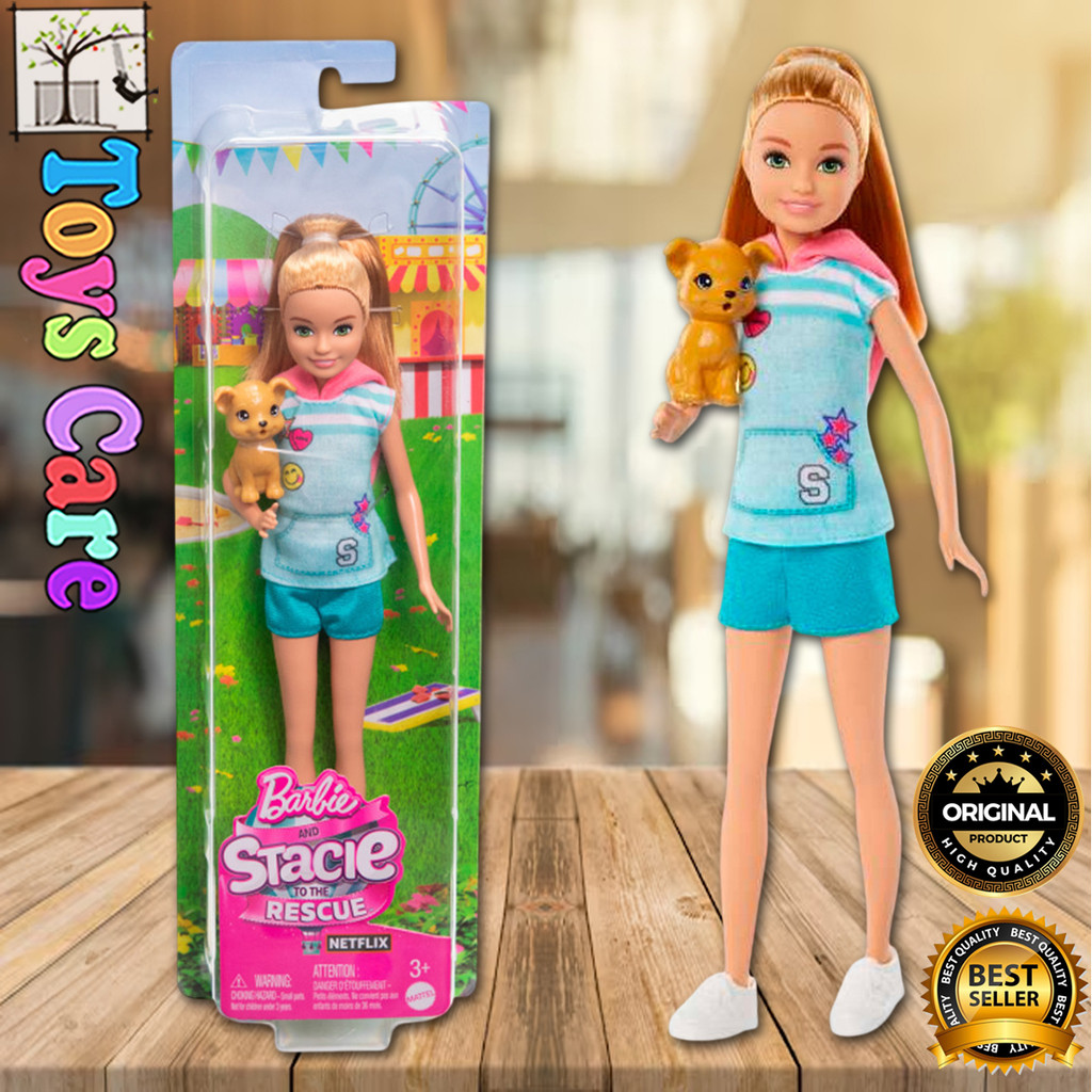 Barbie Stacie On The Rescue Sister Doll Set With Pet Dogs HRM05 ...