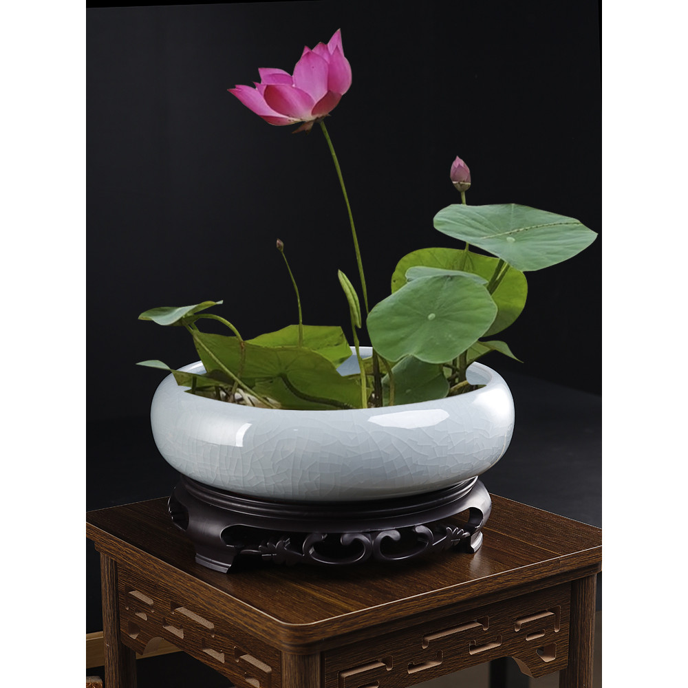 Mangkuk Ge Kiln Lotus Narcissus Periuk Bunga Hidroponik Khas Seramik ...