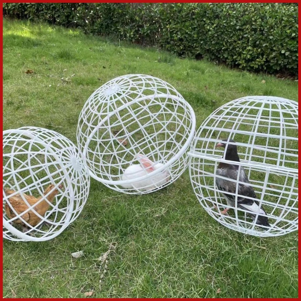 Chicken Ball Cage Spherical 3 Pieces Chicken Cage Pet Safety Cage Ball ...