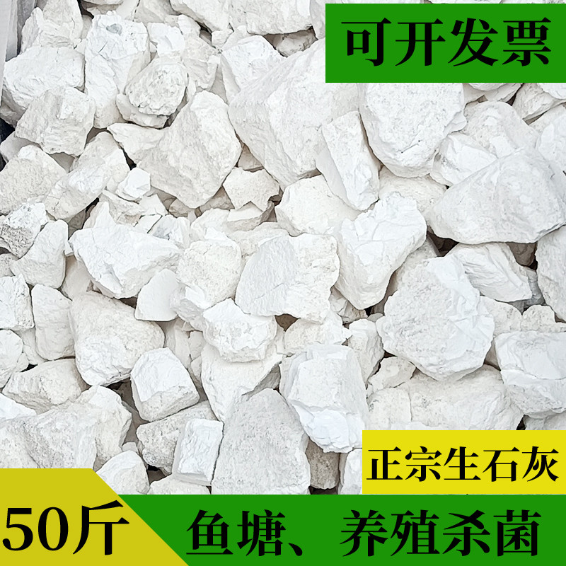 50 Paun Serbuk Blok Quicklime untuk Pembasmian Kuman Kolam Ikan ...