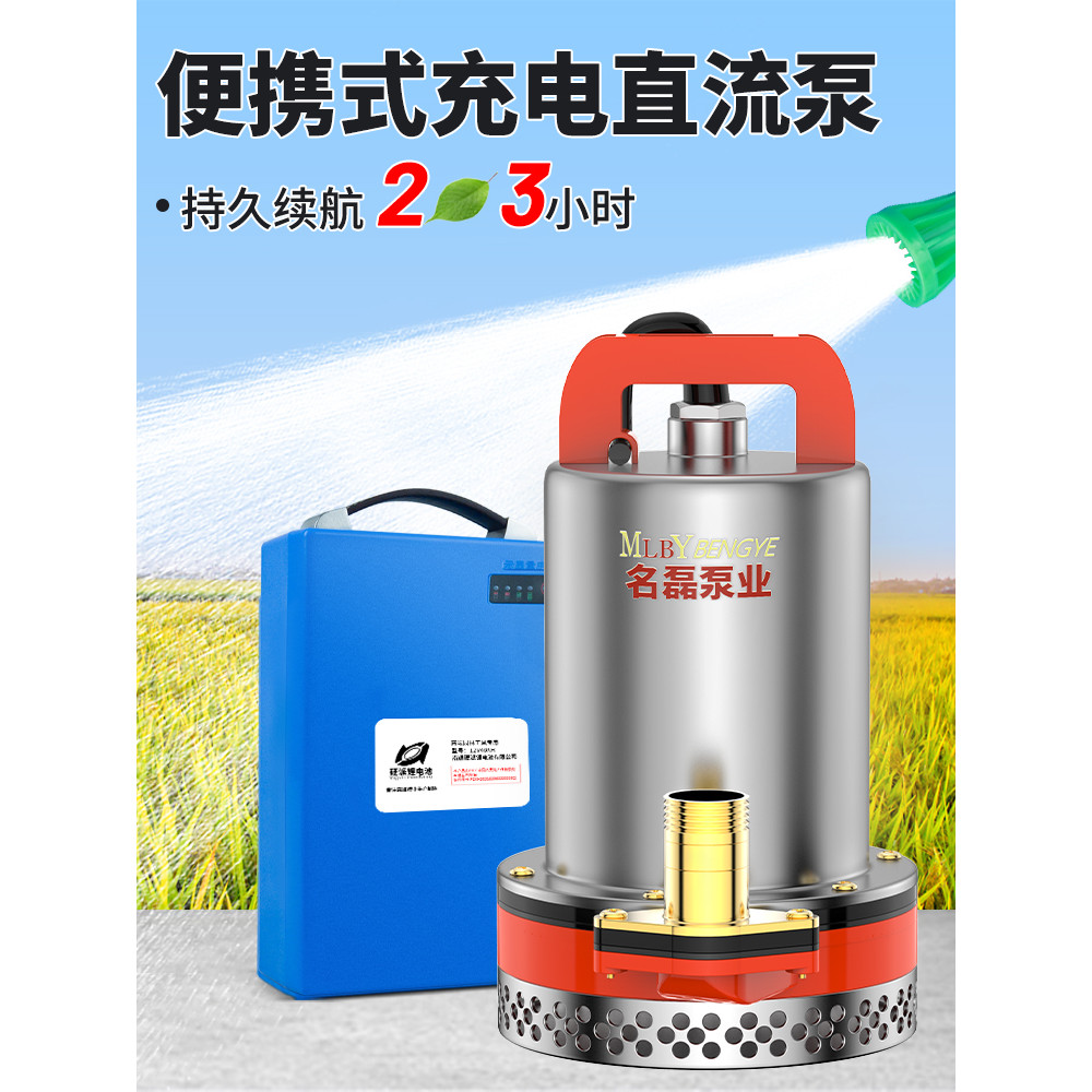 Minglei Portable Rechargeable DC Submersible Pam 12V 24V 48V Volt ...