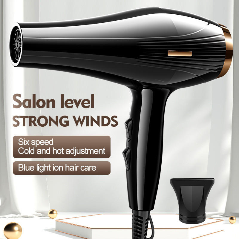 Fast Hair Dryer Low Noise Constant Temperature Ionic Care for Frizz ...