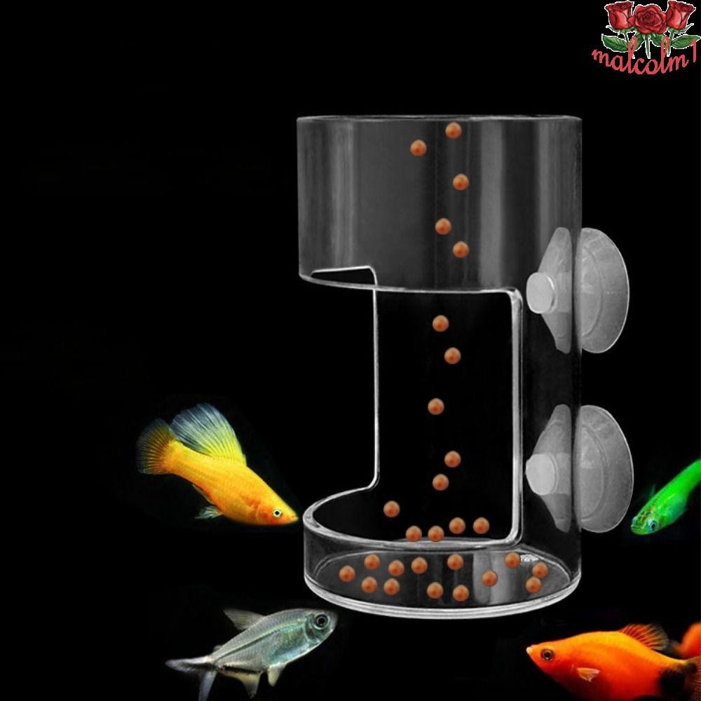 MALCOLM1 Suction Cup Fish Feeder, Square/Circle Floating Food Feeder ...
