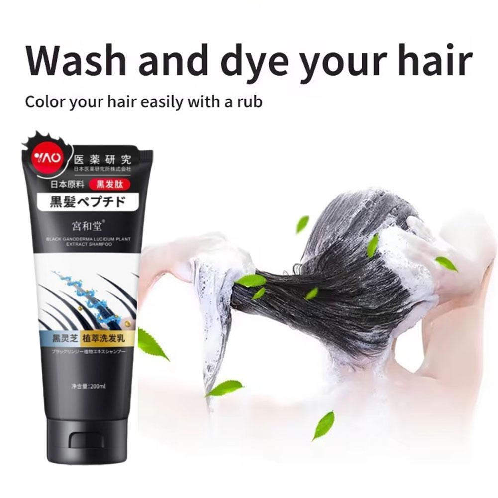 White Hair To Black Hair Shampoo Black Hair Peptide Black Ganoderma Lucidum Plant Extract ...