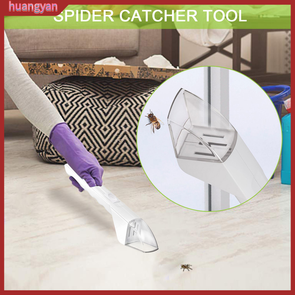 huangyan| Fruit Fly Catcher Release Lid Stopper Effective Flying Trap ...