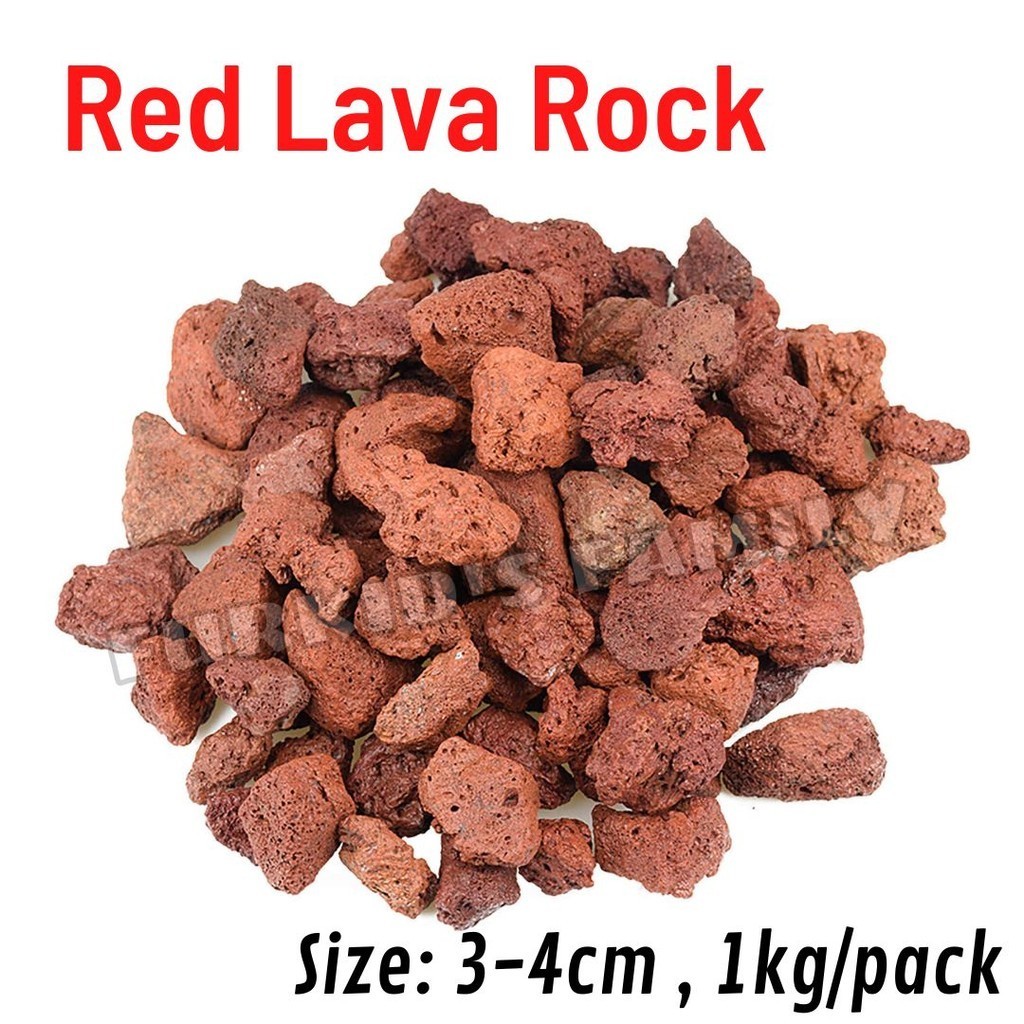 Red Lava Stone Rock Volcanic Stone Aquarium Decoration Bio Filter Media (1kg/pack) | Shopee Malaysia
