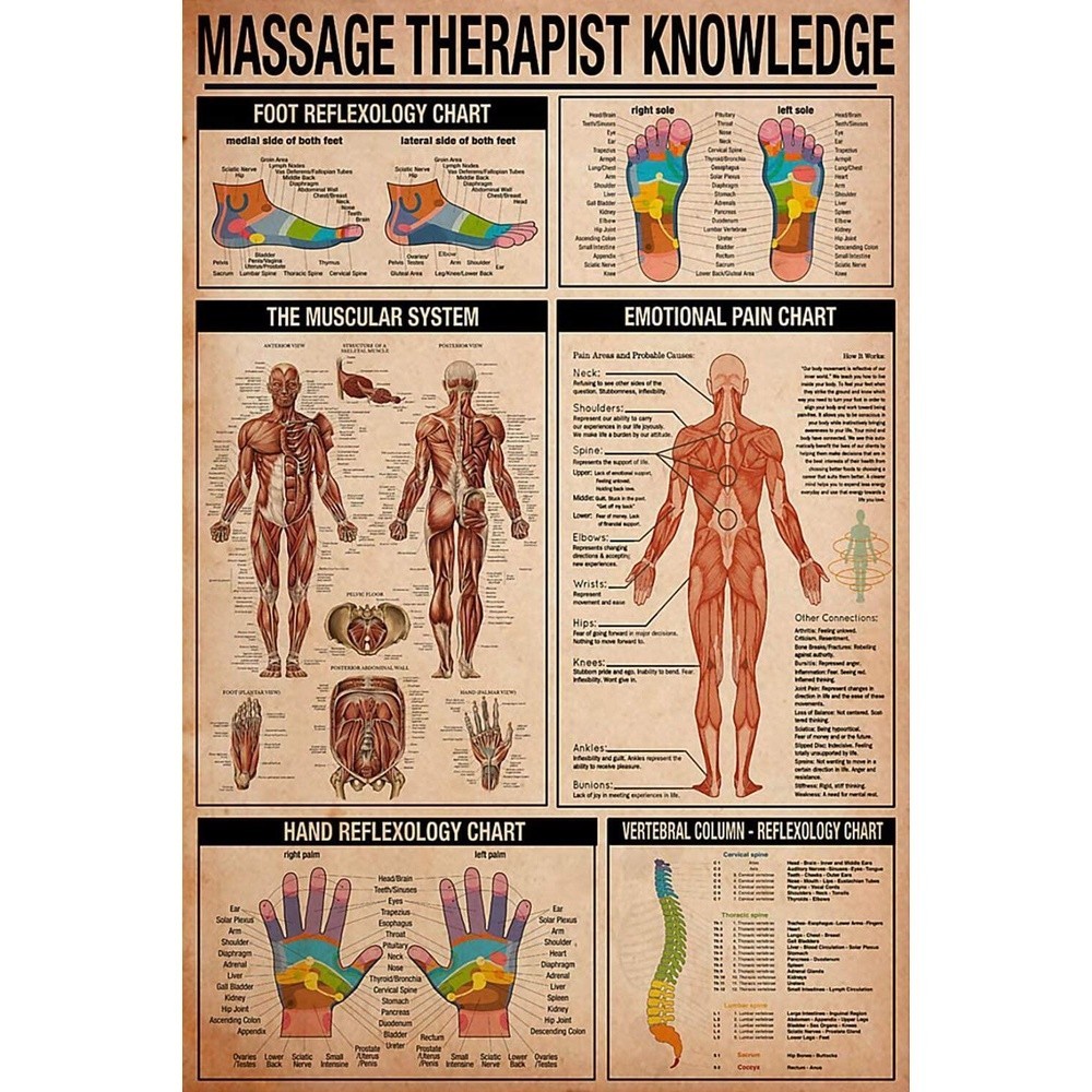 Massage Therapist Knowledge Canvas Wall Art Emotion Pain Chart Foot Reflexology Chart Vertebral ...