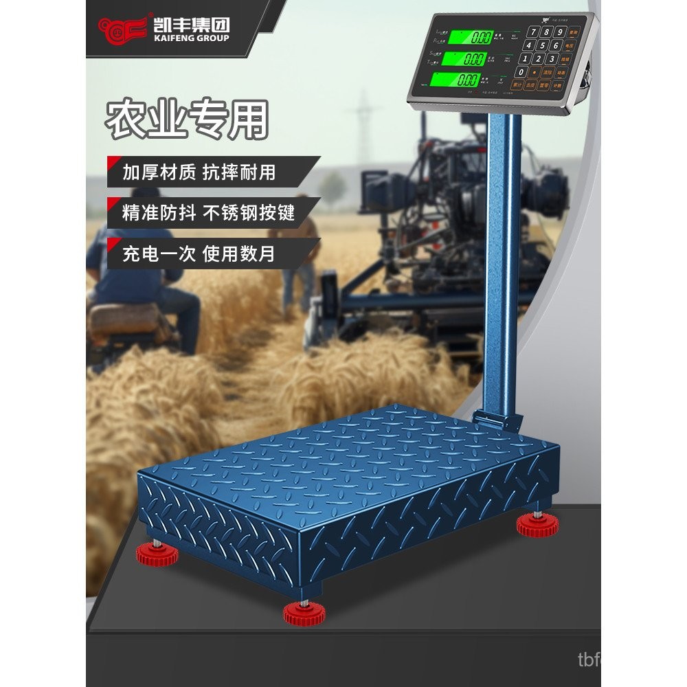 300kg Electronic Scale Commercial Precision Small Platform Scale ...