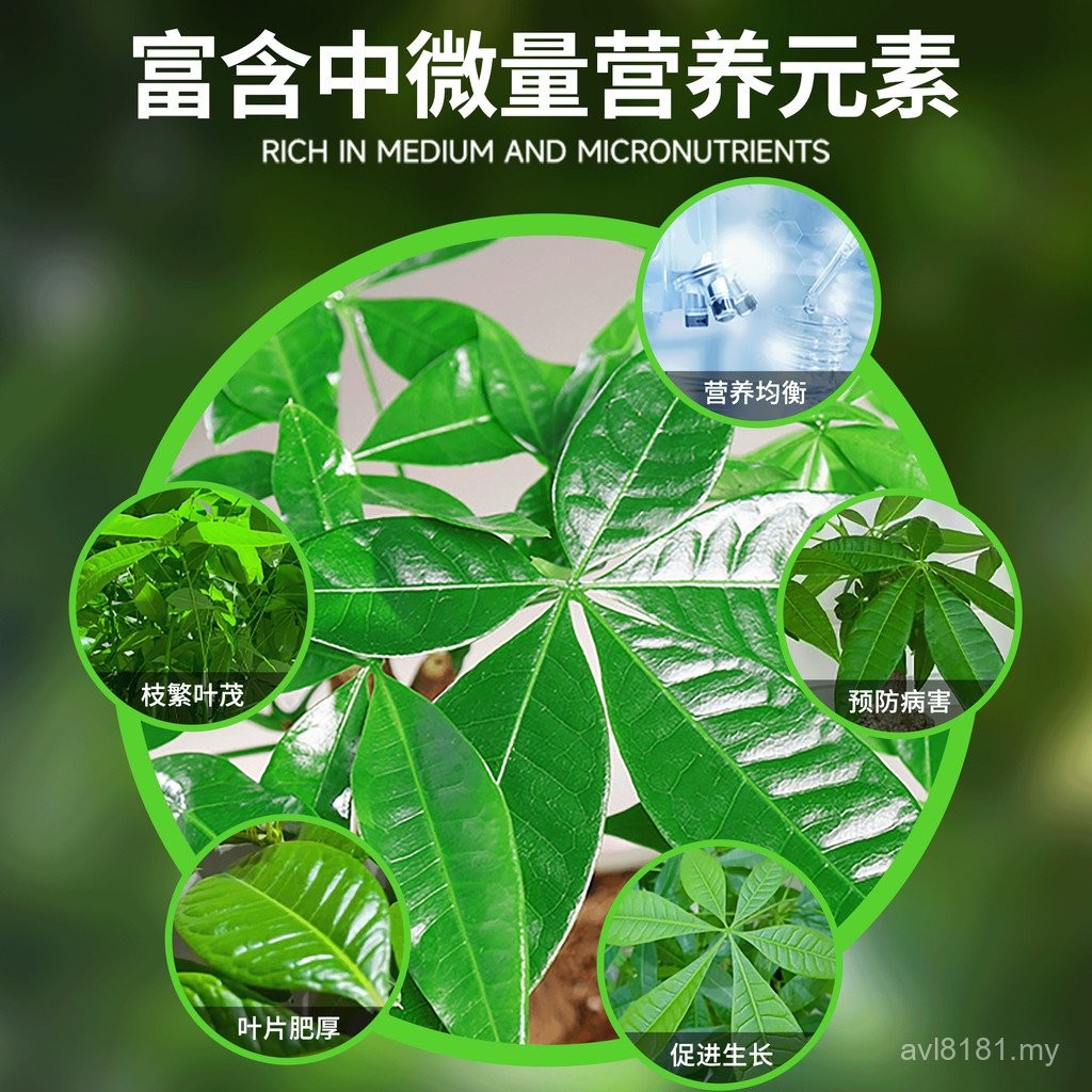 Baja khas untuk baja cecair nutrien pokok kekayaan, yang mengkhususkan ...