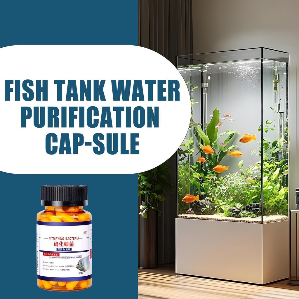 Fish Tank Water Purification Tablets 30X Water Clarifier Tablets Safe ...