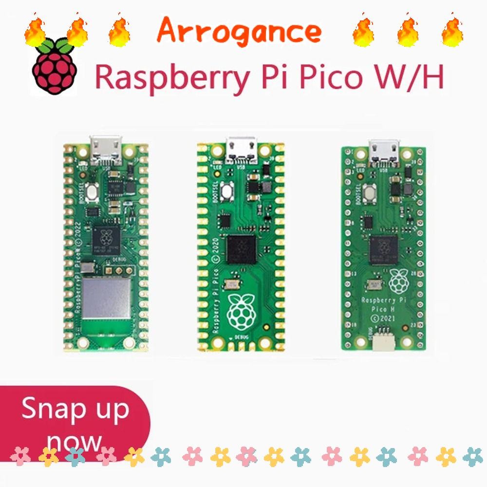 ARROGANCE Raspberry Pi Pico Board, Type-C RP2040 Raspberry WiFi Board ...